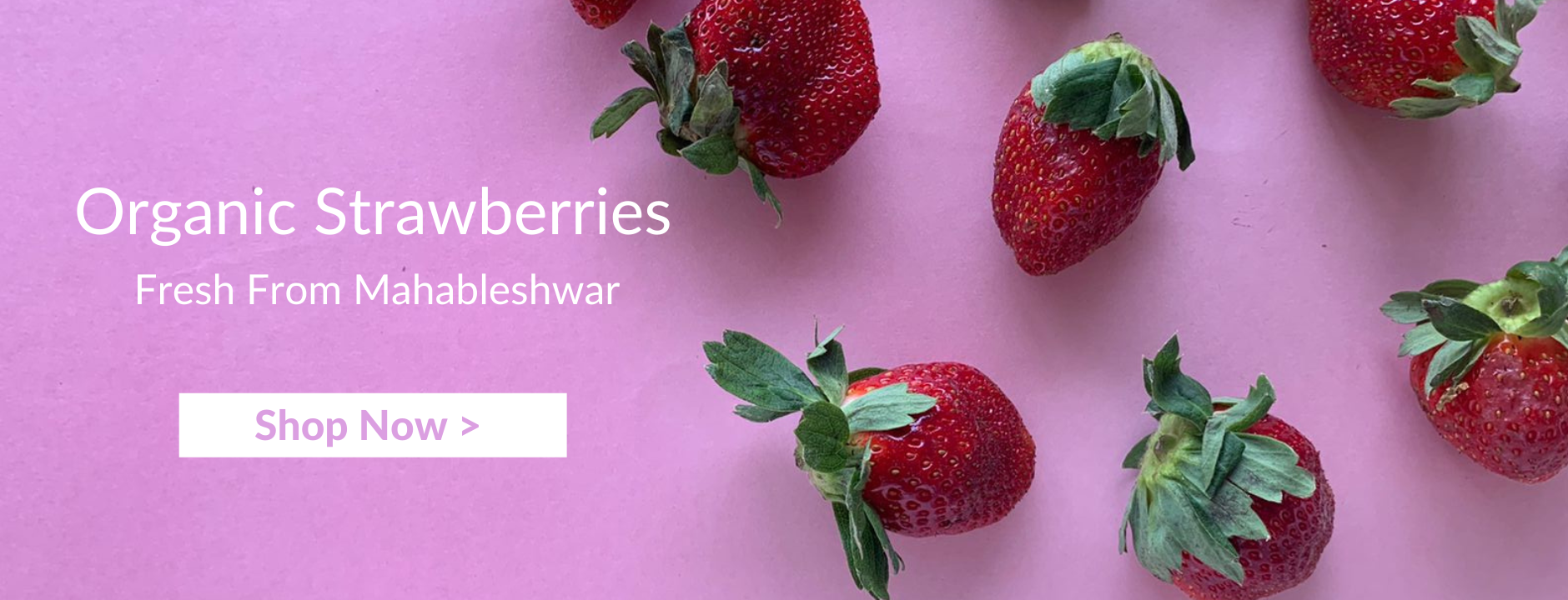 Fresh India Organics Buy Organic Fruits Vegetables Mumbai