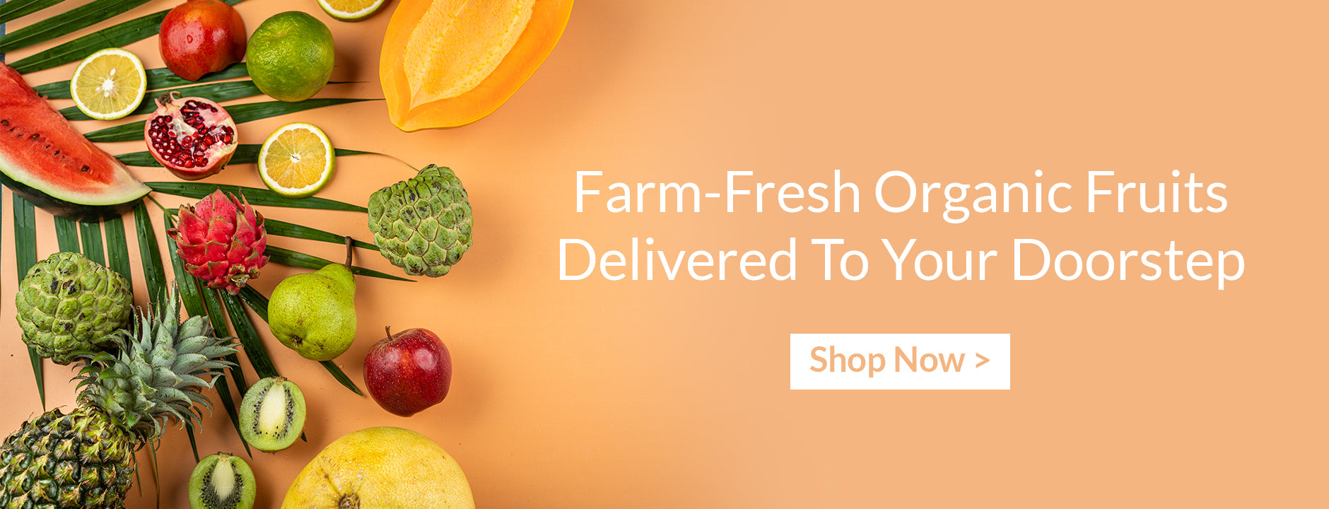 Fresh India Organics - Buy Organic Fruits & Vegetables | Mumbai ...