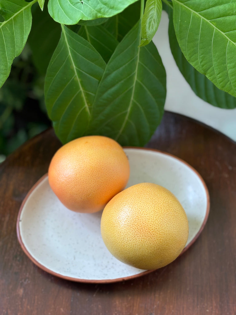Grapefruit 500gms- Imported – Freshindiaorganics