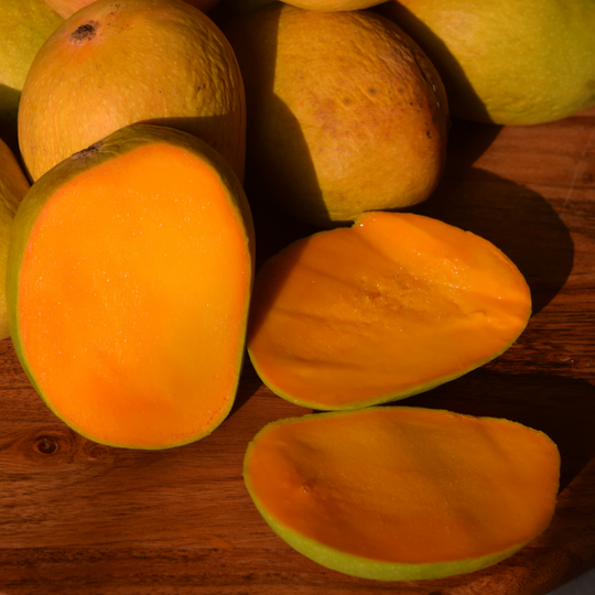 Regular Vegetables – Freshindiaorganics