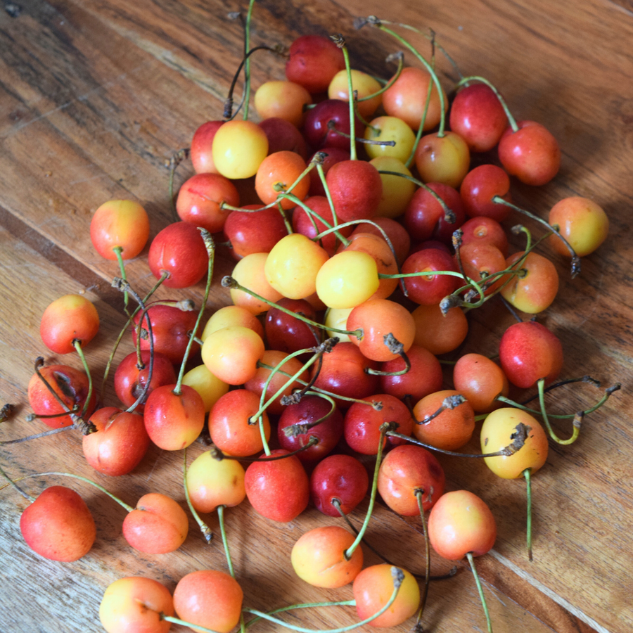 Regular Vegetables – Freshindiaorganics