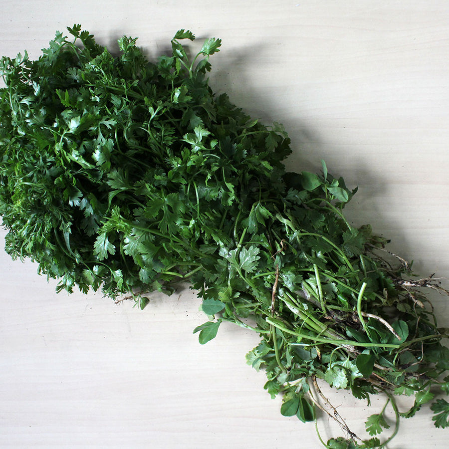 Regular Vegetables – Freshindiaorganics