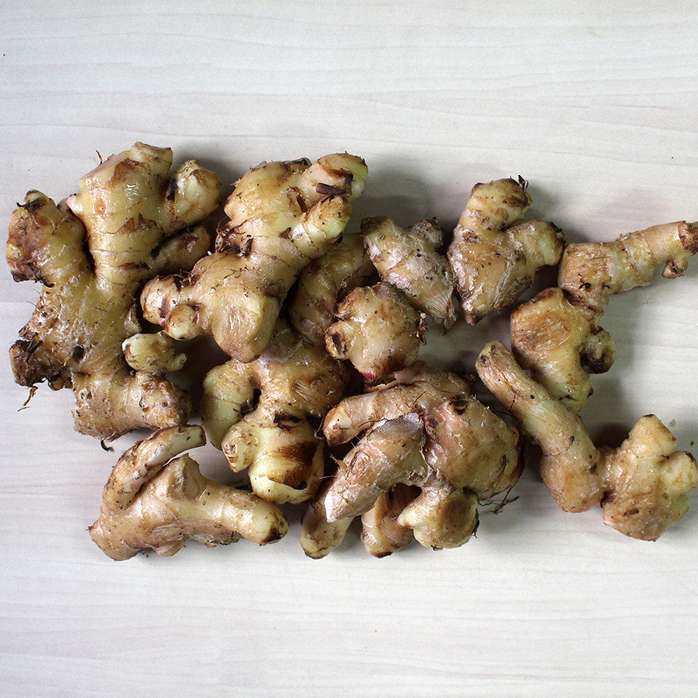 Organic Ginger – Freshindiaorganics